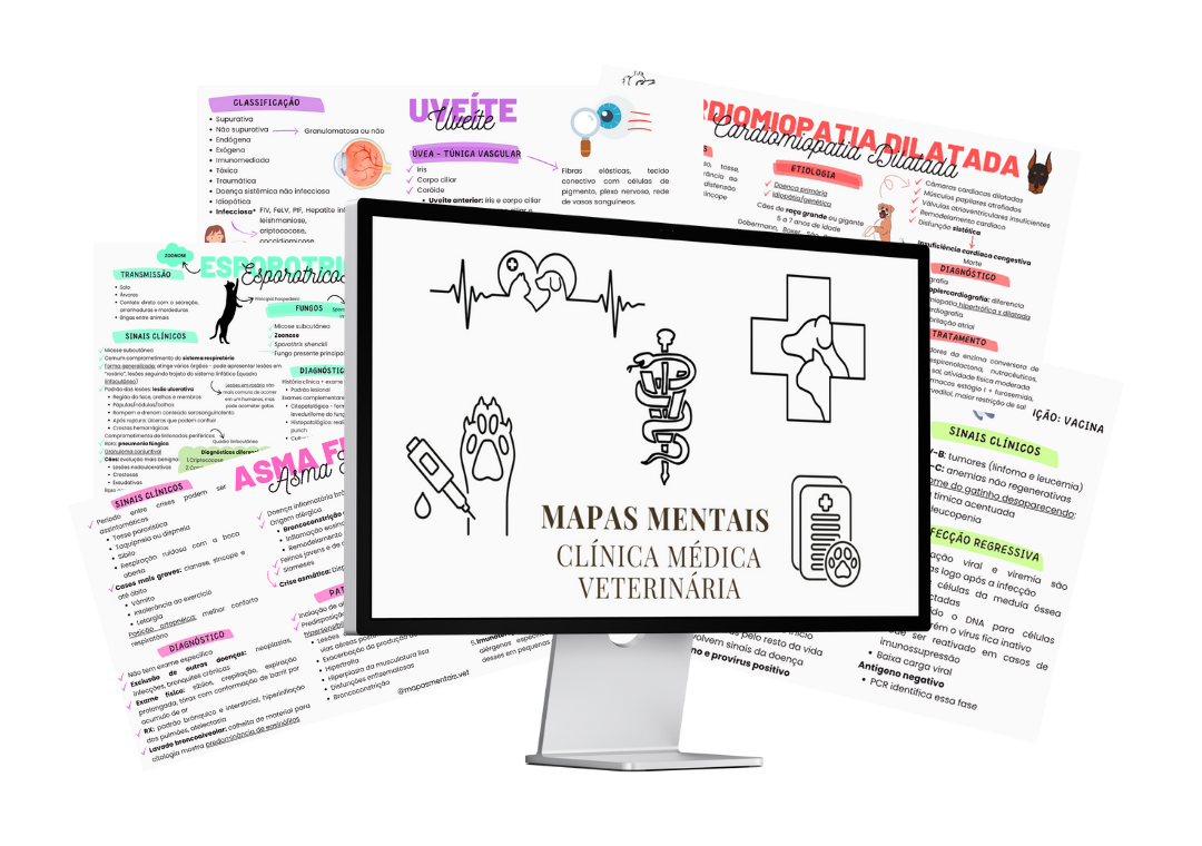 Início - Mapas Mentais Vet